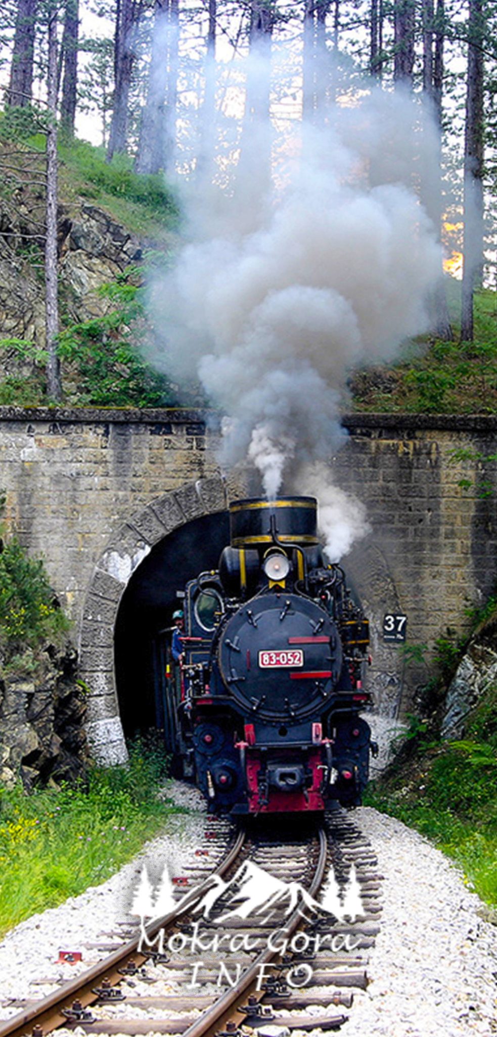 Vožnja vozom – Mokra Gora info
